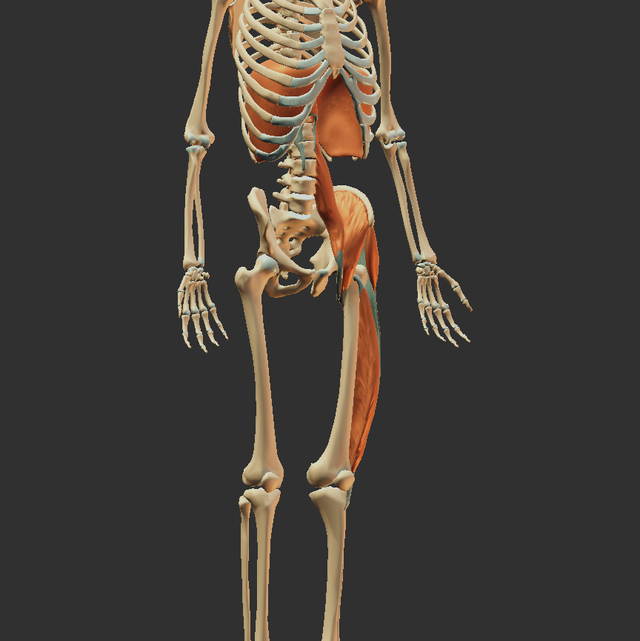 The Left AIC pattern - Tatham Johnson, Body Debugger